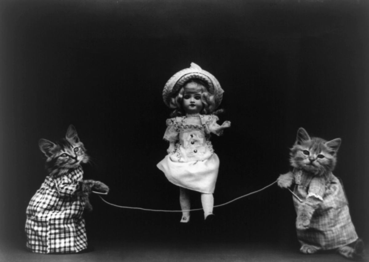 Vintage LOLcats: Adorable Old-Timey Photos of Cats Dressed As People ...
