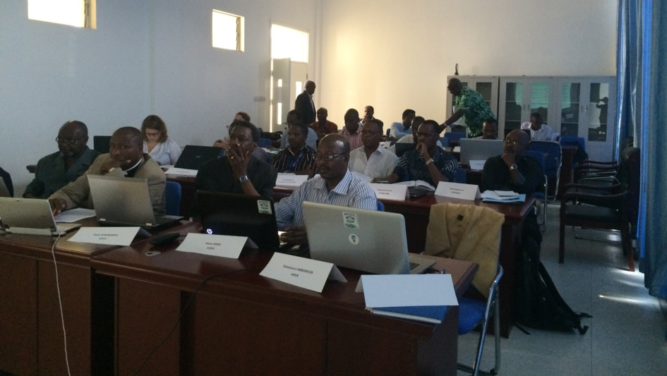 David LOUIS - Chemin de vieDavid LOUIS