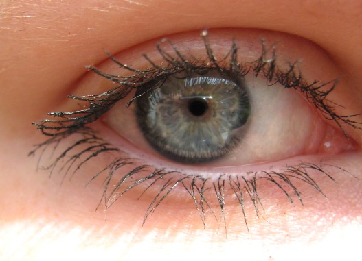 Eye Exam Mysteries Explained - Eyedolatry