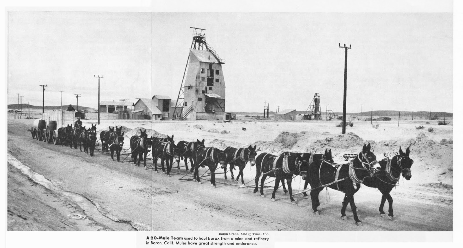 Progress is fine, but it's gone on for too long.: Mules