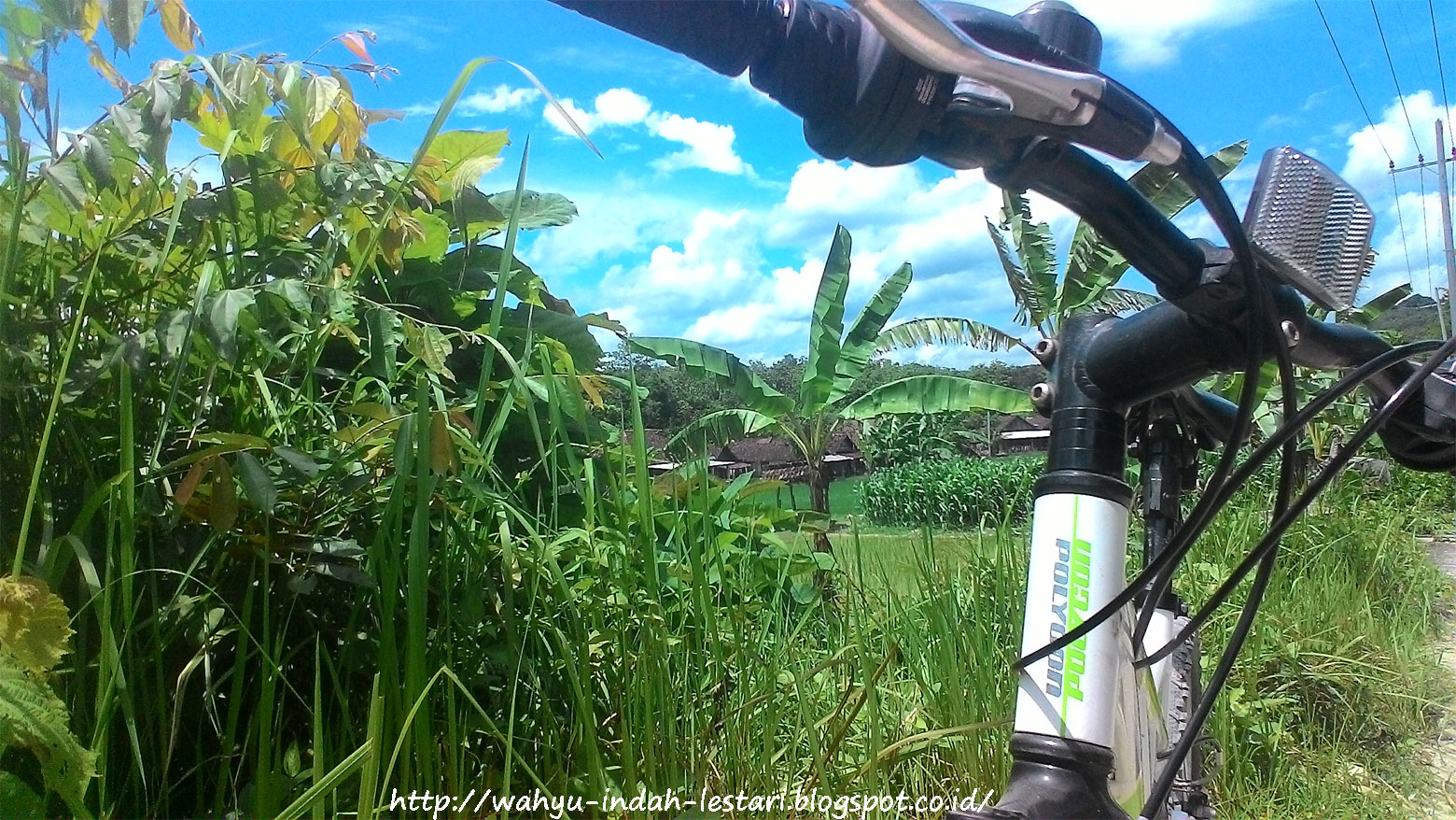 Menuju Kedung Dendeng | LESTARI