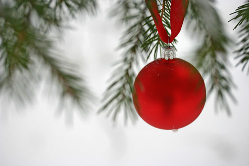 Royaltyfria bilder: Julbilder hos Hagalunds Foto