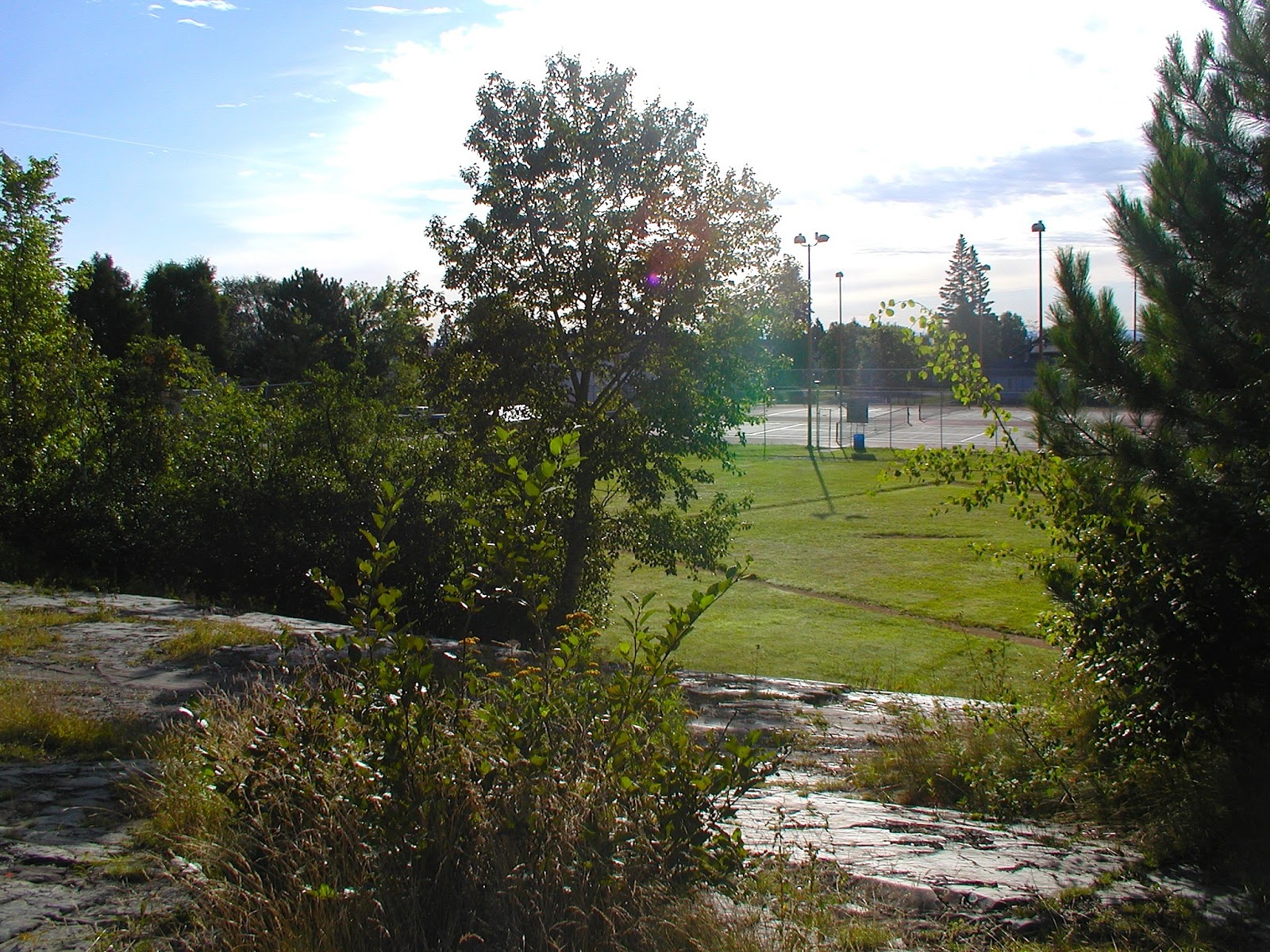 earthscienceguy: Minnesota Geology Monday - Pillowed Greenstone