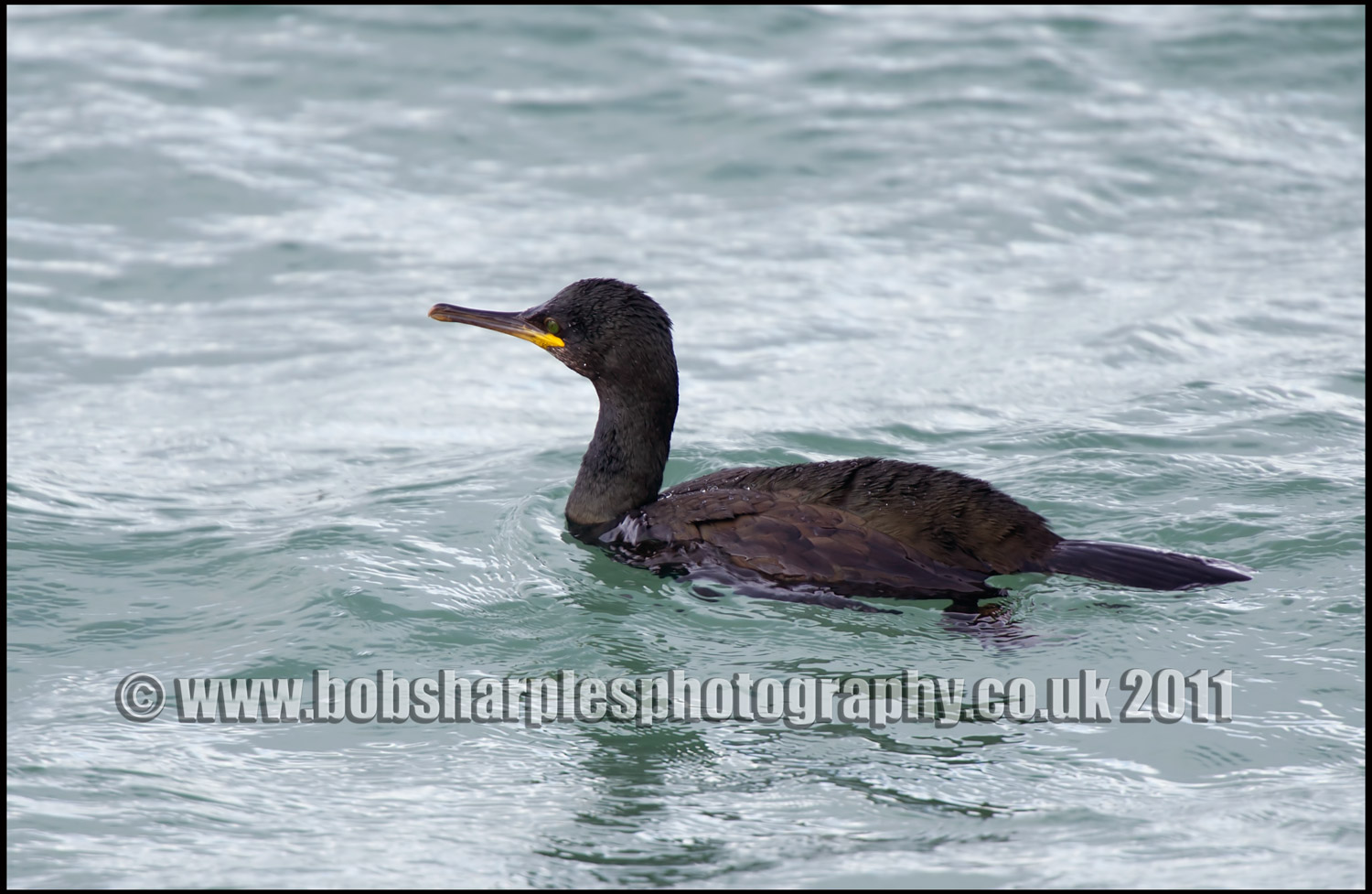 Photography by Bob Sharples: Carnsew Pool Revisited