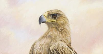 Français - Lecture: Morale - 5) L'aigle et le Limaçon (Jacques-Charles ...