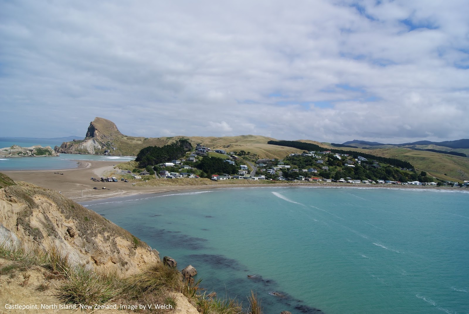 Castlepoint Beach, New Zealand and the Power of Earthquakes