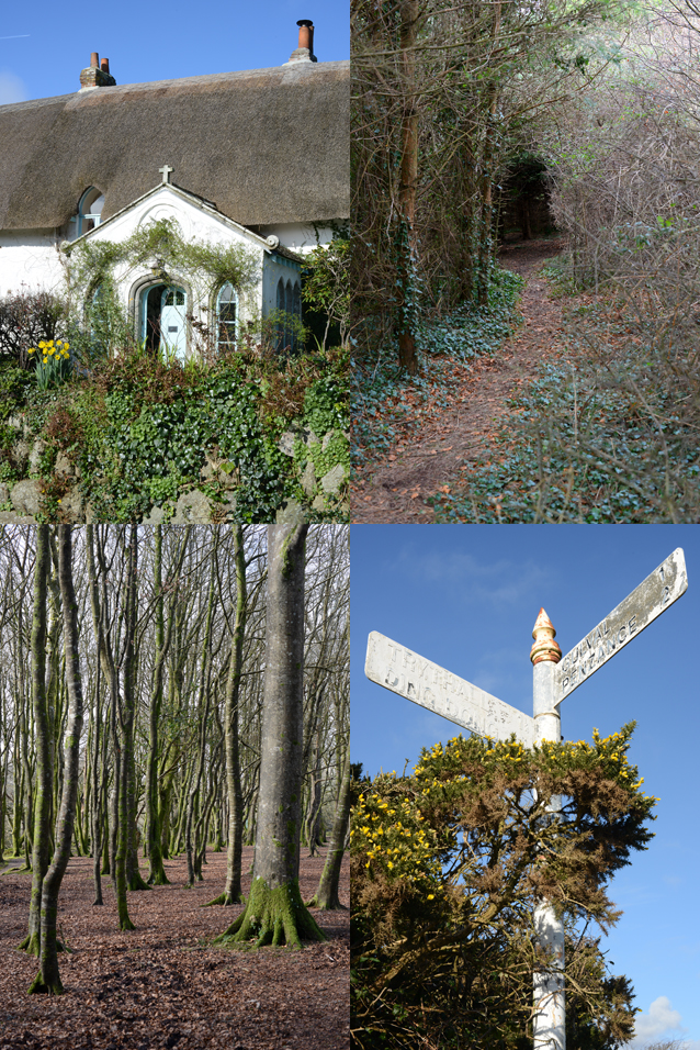 Penzance Post: Wild Walking #2 : Gulval to Trevaylor