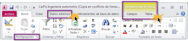 ACCESS: INTERFAZ DE ACCESS
