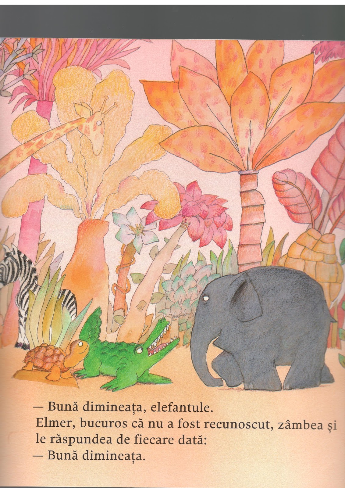 Vremea copilariei: Cartile despre Elefantul Elmer