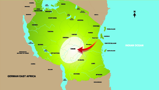 Hans Poppe: Chief Mkwawa Movie