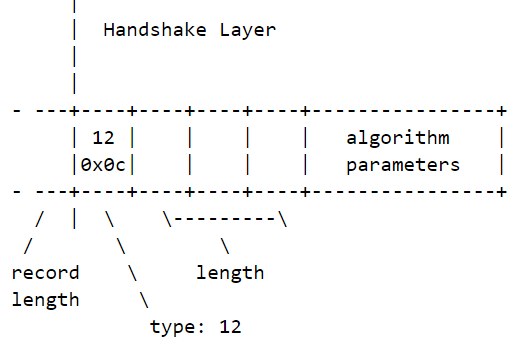 Let's go in depth: Inspecting TLS/SSL