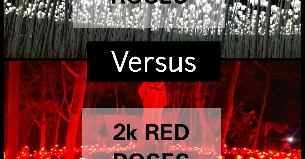 10k White Roses VS 2k Red Roses (Cordova, Cebu PH) | TravelsomeChic