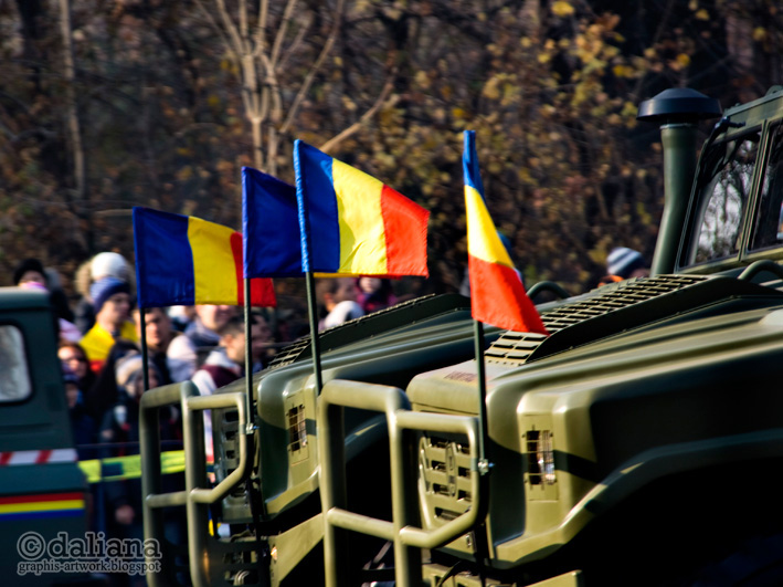 Photographis: Romania National Day