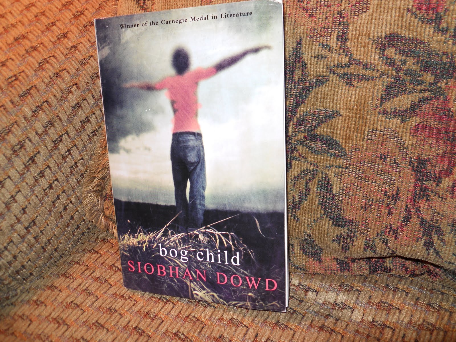 Letters from a Hill Farm: Bog Child by Siobhan Dowd