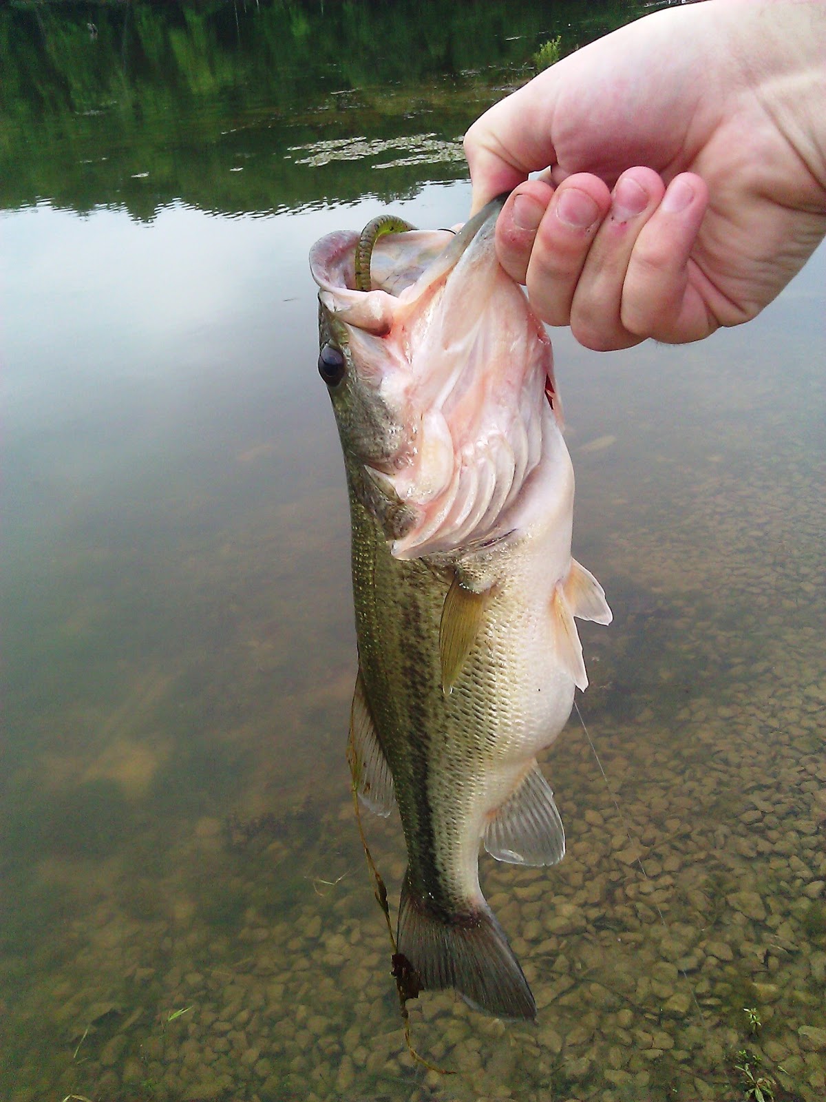 Yellowwood Lake 5/12/2012
