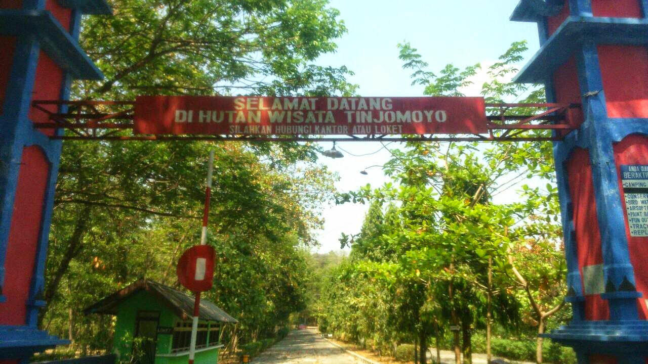 Gambar Wahanawisata Hutan Wisata Tinjomoyo Eksotis Semarang Sejarah ... Gambar Wahanawisata Hutan Wisata Tinjomoyo Eksotis Semarang Sejarah ...