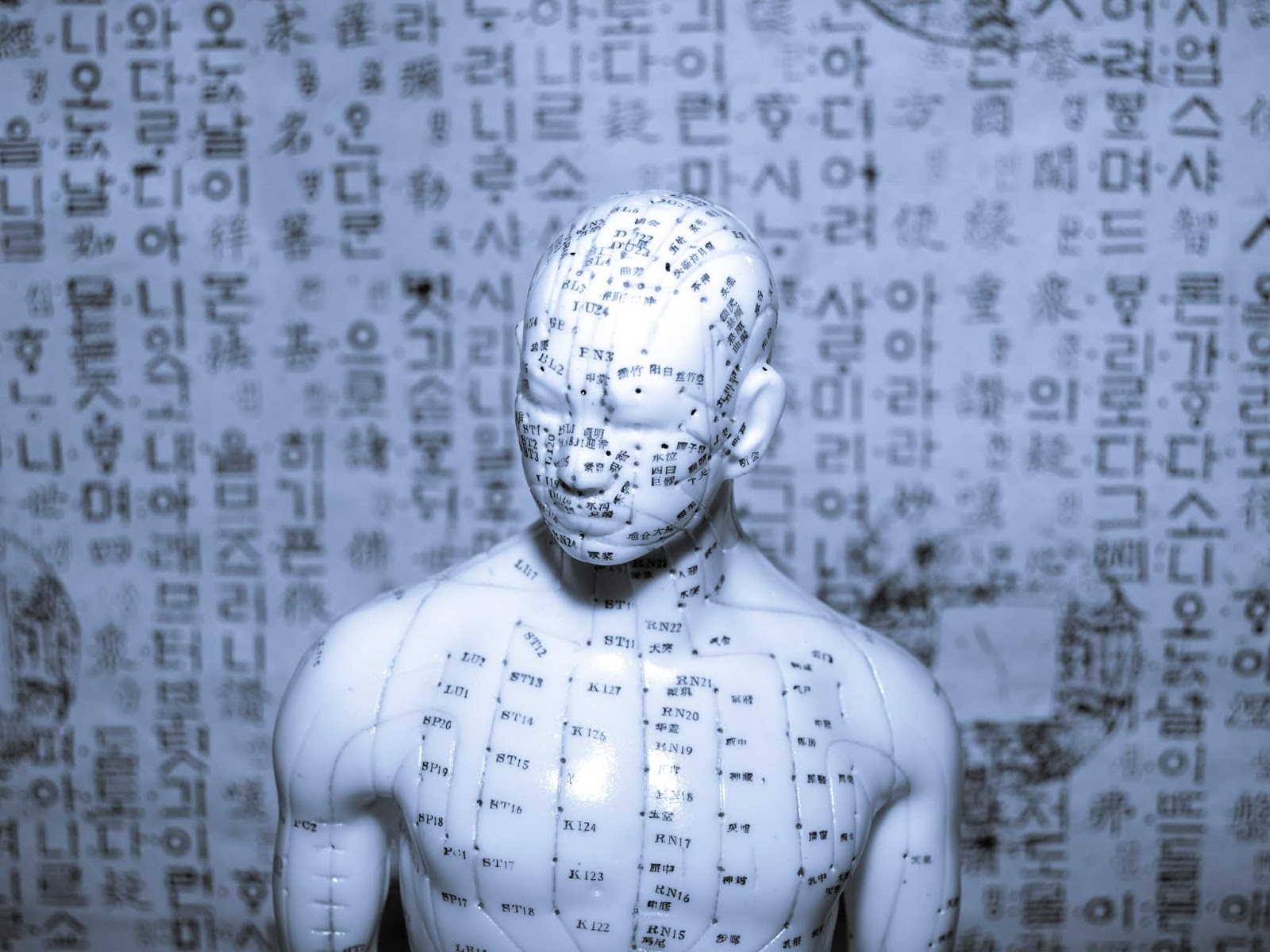 Sasang Constitutional Medicine, Korea's Renowned Body Type Typology for ...