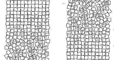 Ciberestética: Nees, otro pionero