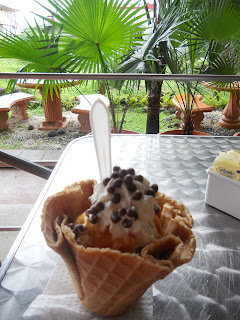 Food Bound: Dos Pinos! It really is the BEST ice cream in Costa Rica!