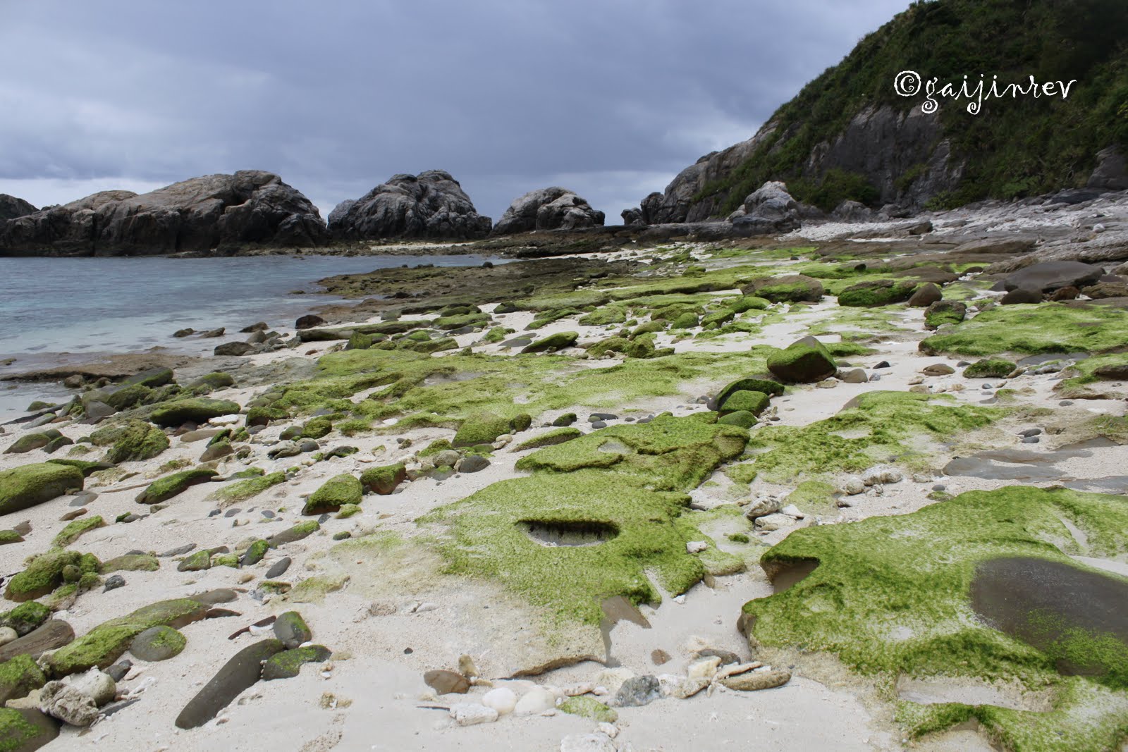 La Nemui la lia al Japó (one more time): Okinawa mon amour