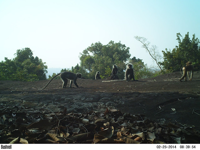 Cambodia Natural Resources