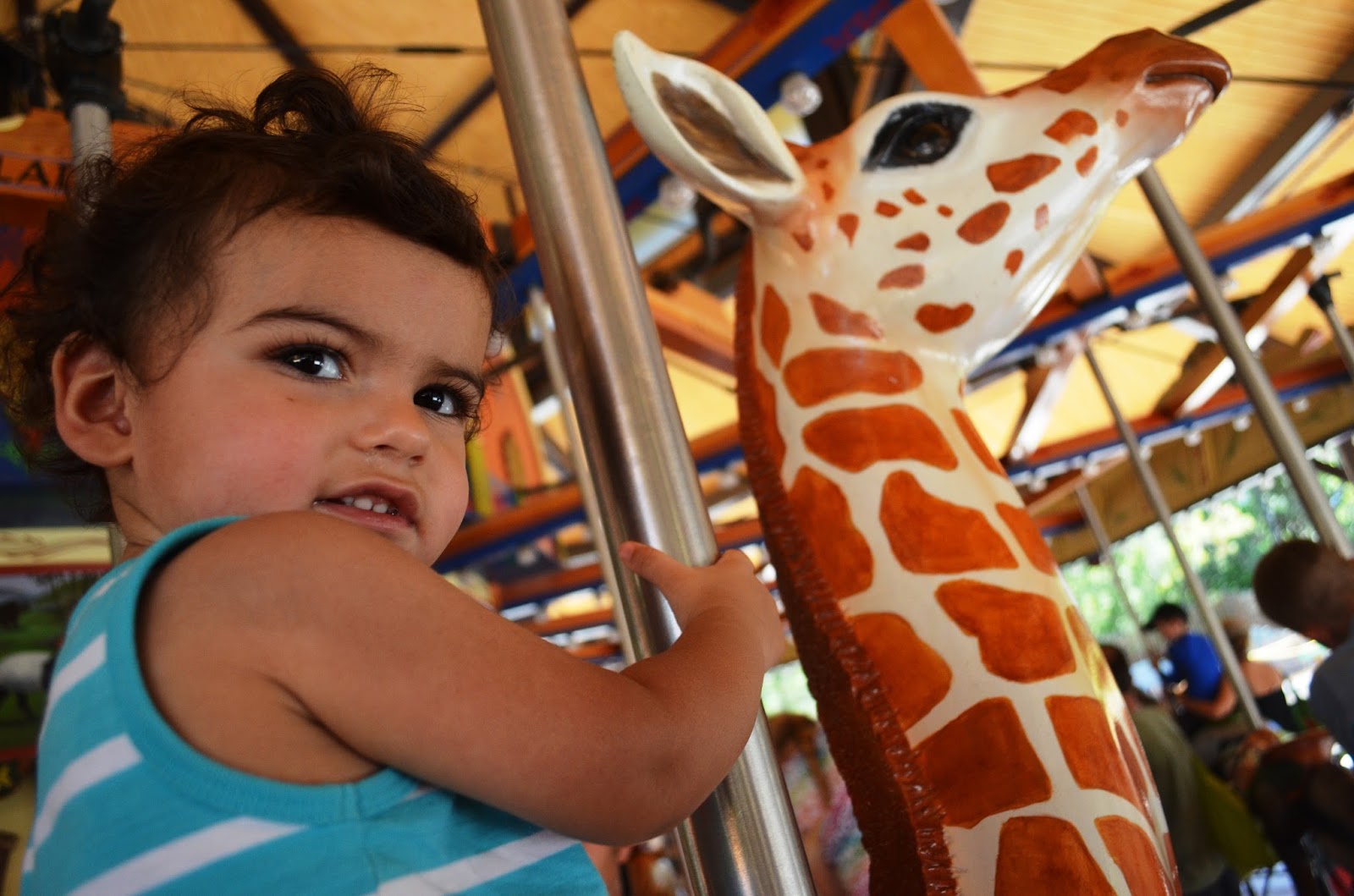 How to have an Adventure : How to Get the Most out of Your Zoo Membership