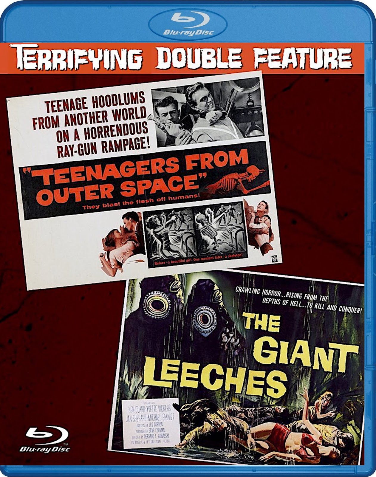 blu-ray and dvd covers: RETROMEDIA BLU-RAYS: BIOHAZARD BLU-RAY ...