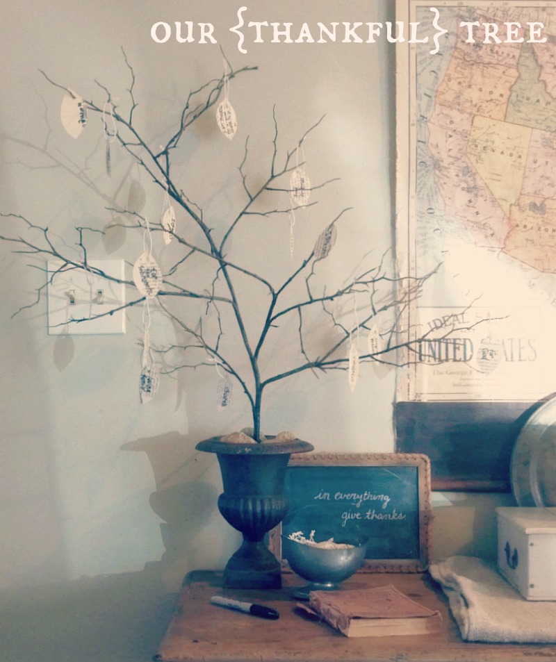 Finding Healthy Hope: our thankful tree