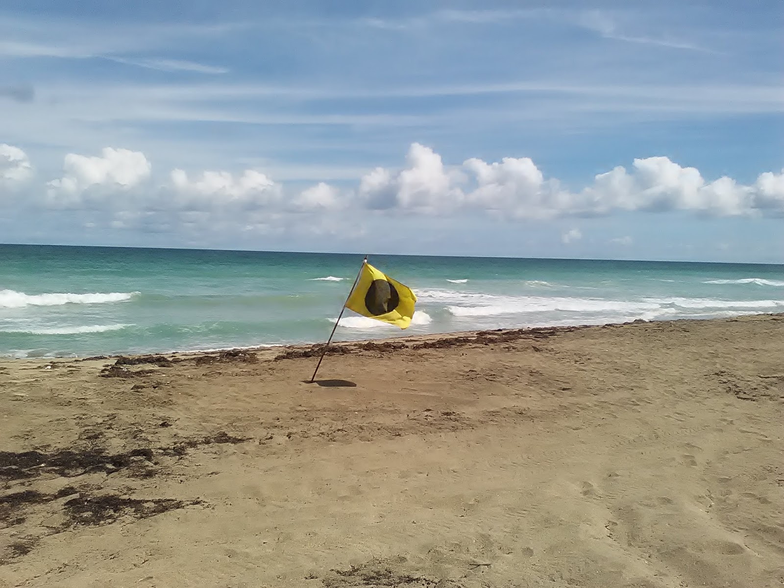 The Treasure Beaches Report Direct From Florida's Treasure Coast.: 10 ...