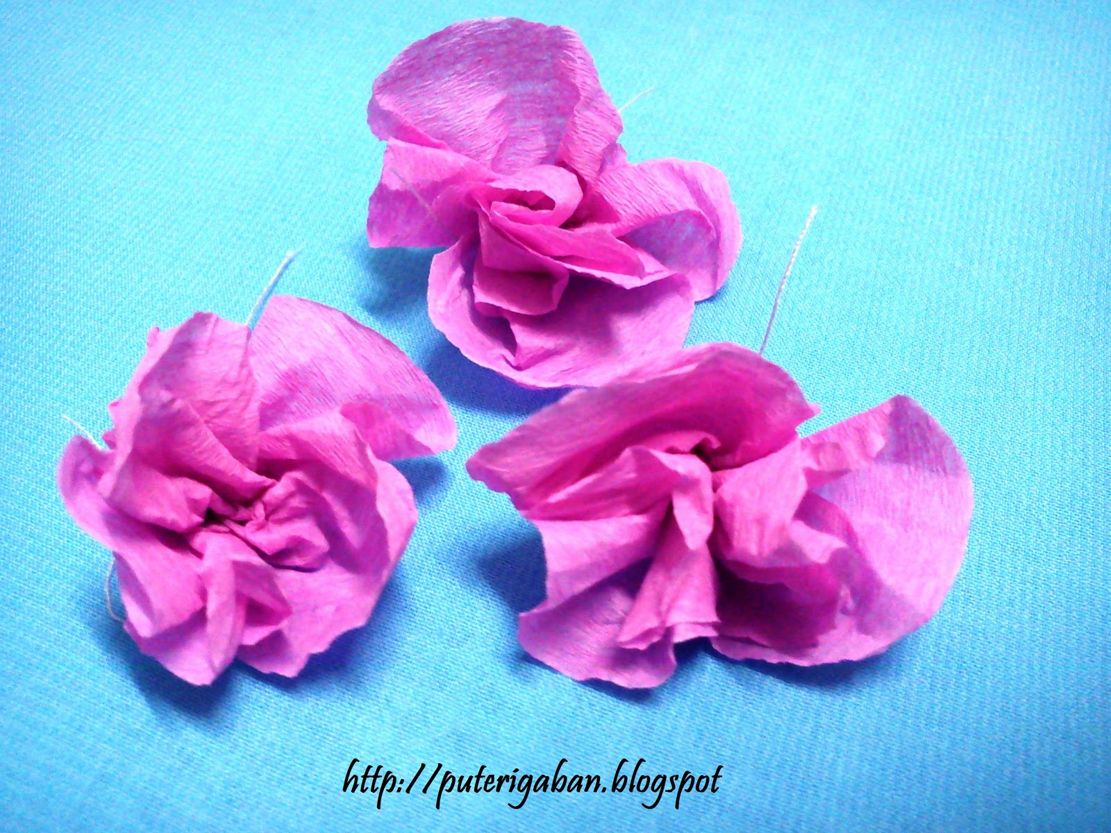 Nursaila Norman: DIY : Bunga Crepe Paper