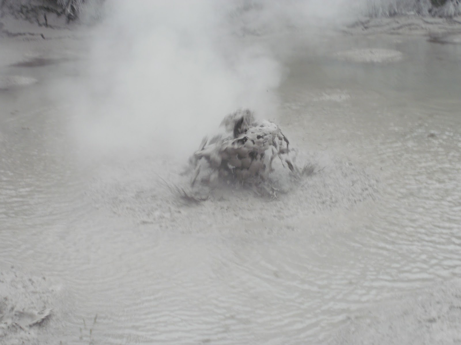 No direction home ... a complete unknown ... like a rolling luggager ...