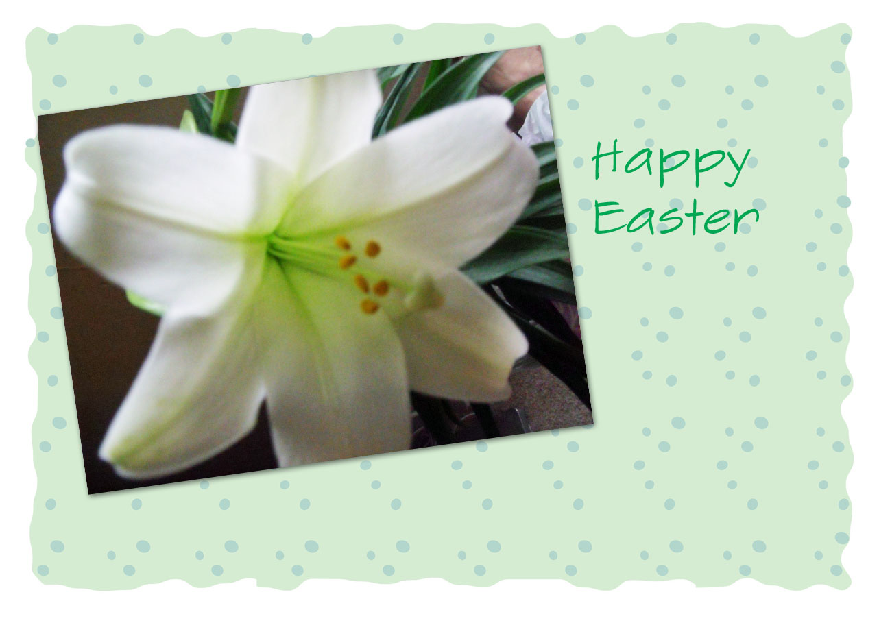 Snap and Chat: Easter Cards