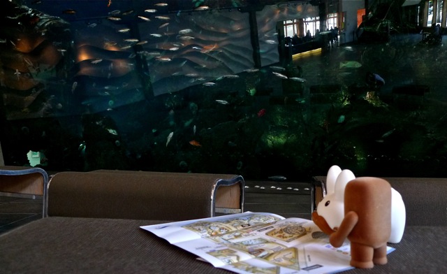 Year of the Labbit: Labbit Travels: Seattle Aquarium