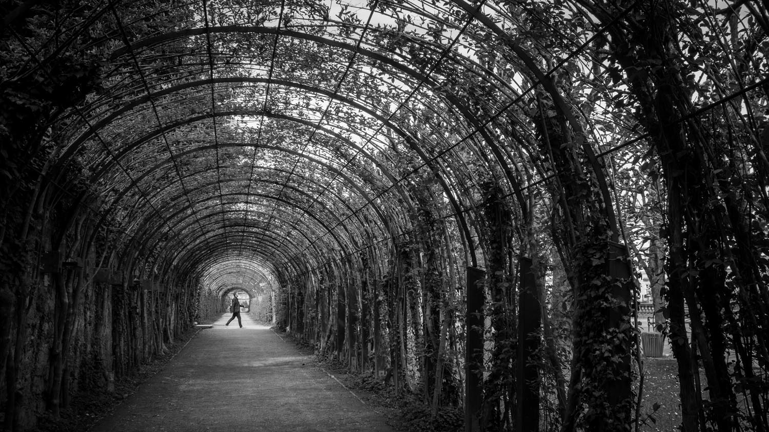 23 Ninja Tips For Your Next Photo Walk by Thomas Leuthard - Photography ...