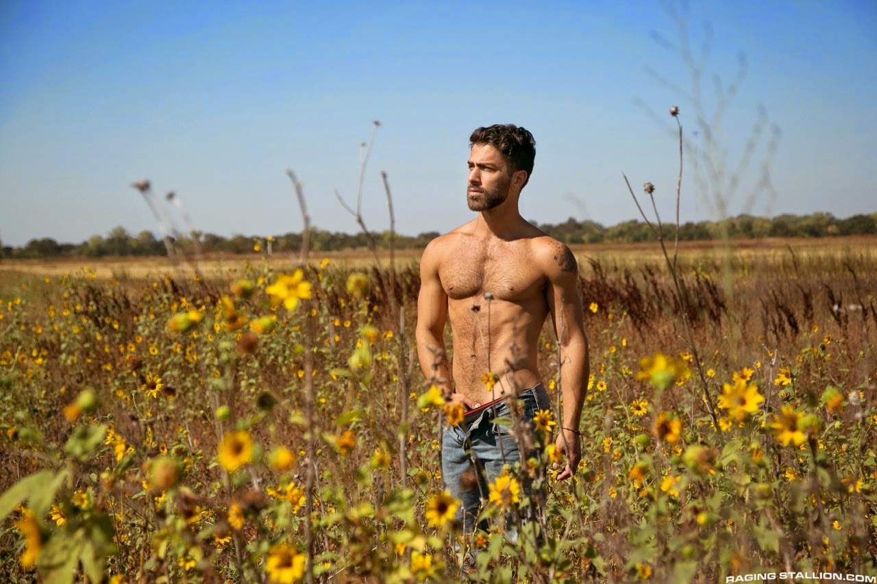 COLEÇAO VARIOS ATORES: ADAM RANZI