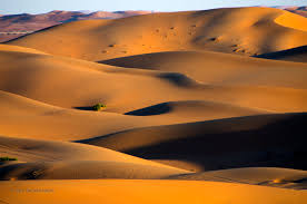 disyerto - philippin news collections