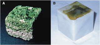 Micro Gaia: Microorganismos y conservación del patrimonio. El caso de ...