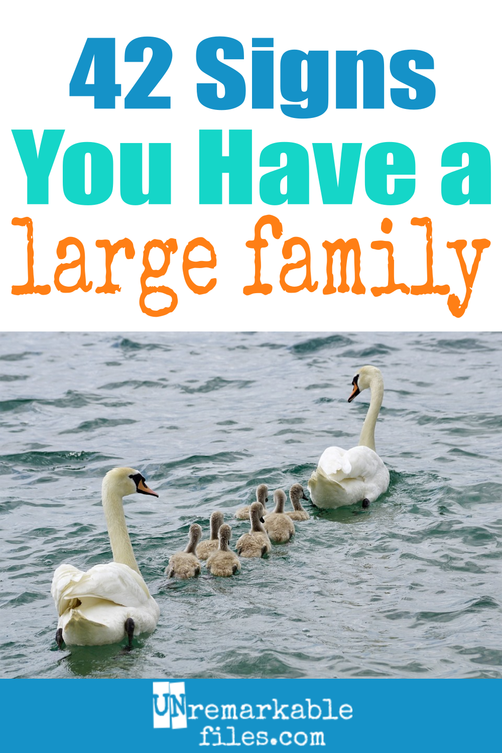 Unremarkable Files 42 Signs You Have A Large Family unremarkable-files-42-signs-you-have-a-large-family