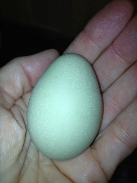 Repurposed For Life: The First Green Egg