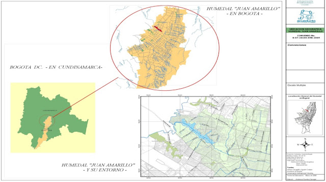 Recuperación paisajísta y del suelo del humedal Juan Amarillo ...
