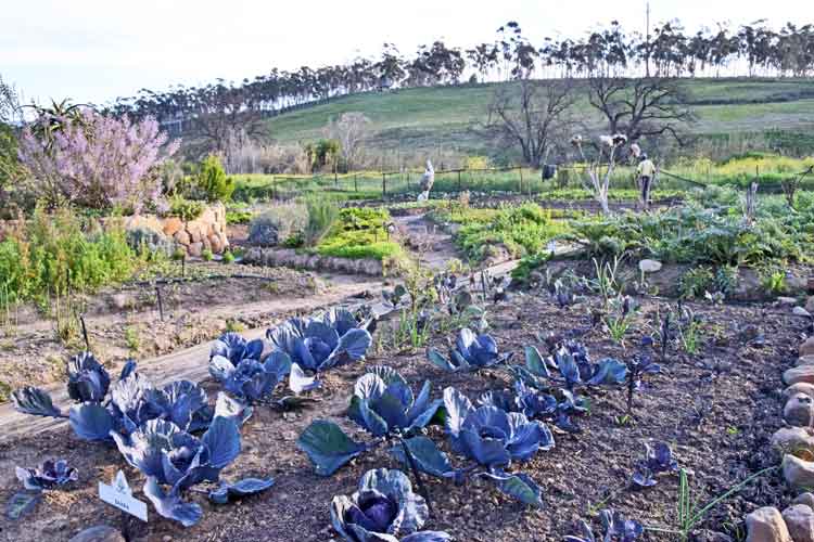 .: A visit to Tulbagh - The houses, museums and gardens of Church Street