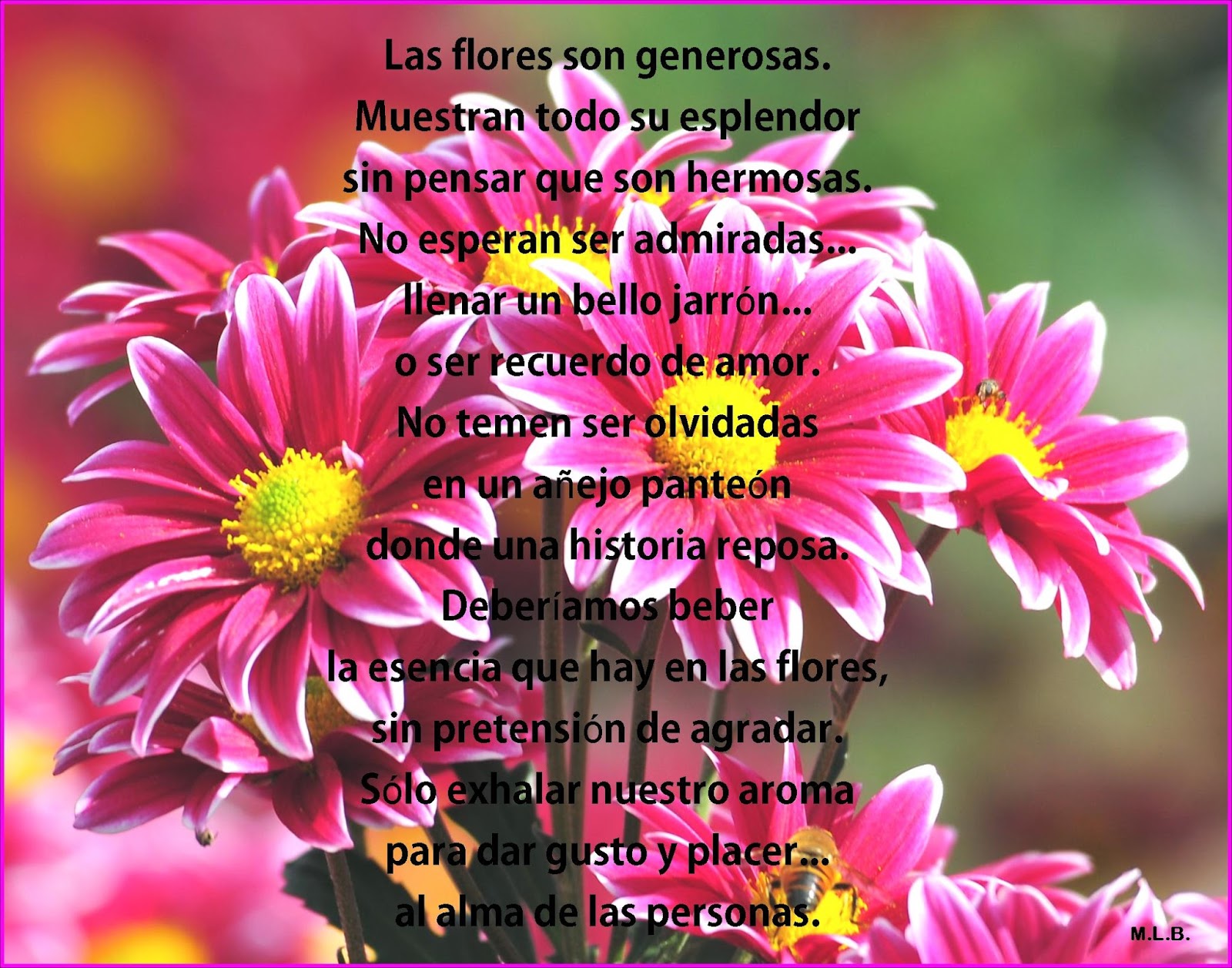 Palabras, Poesías y Versos con Rima