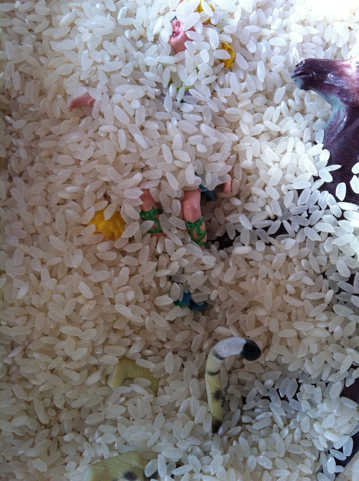 Mama Pea Pod: {Rice Sensory Tub}