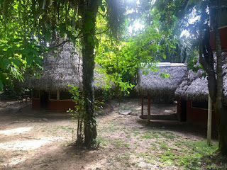 All Accordin': Mango Garden Cabins at "Sambo - Shipibo Ayahuasca Retreat"