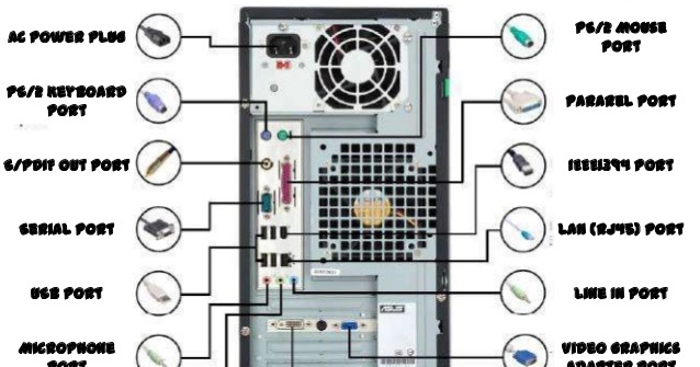 Martinus Blog's: Pengertian Dan Fungsi Back Panel
