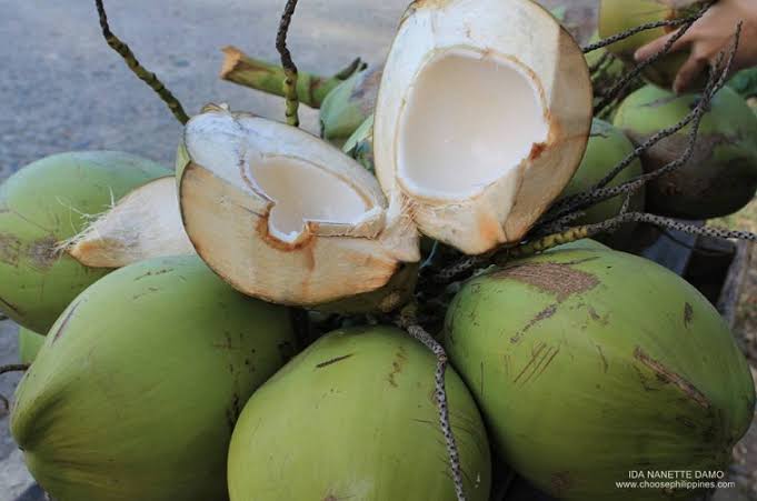 SWITCHING TO BUKO JUICE FROM SOFT DRINKS BENEFITS COPRA FARMERS