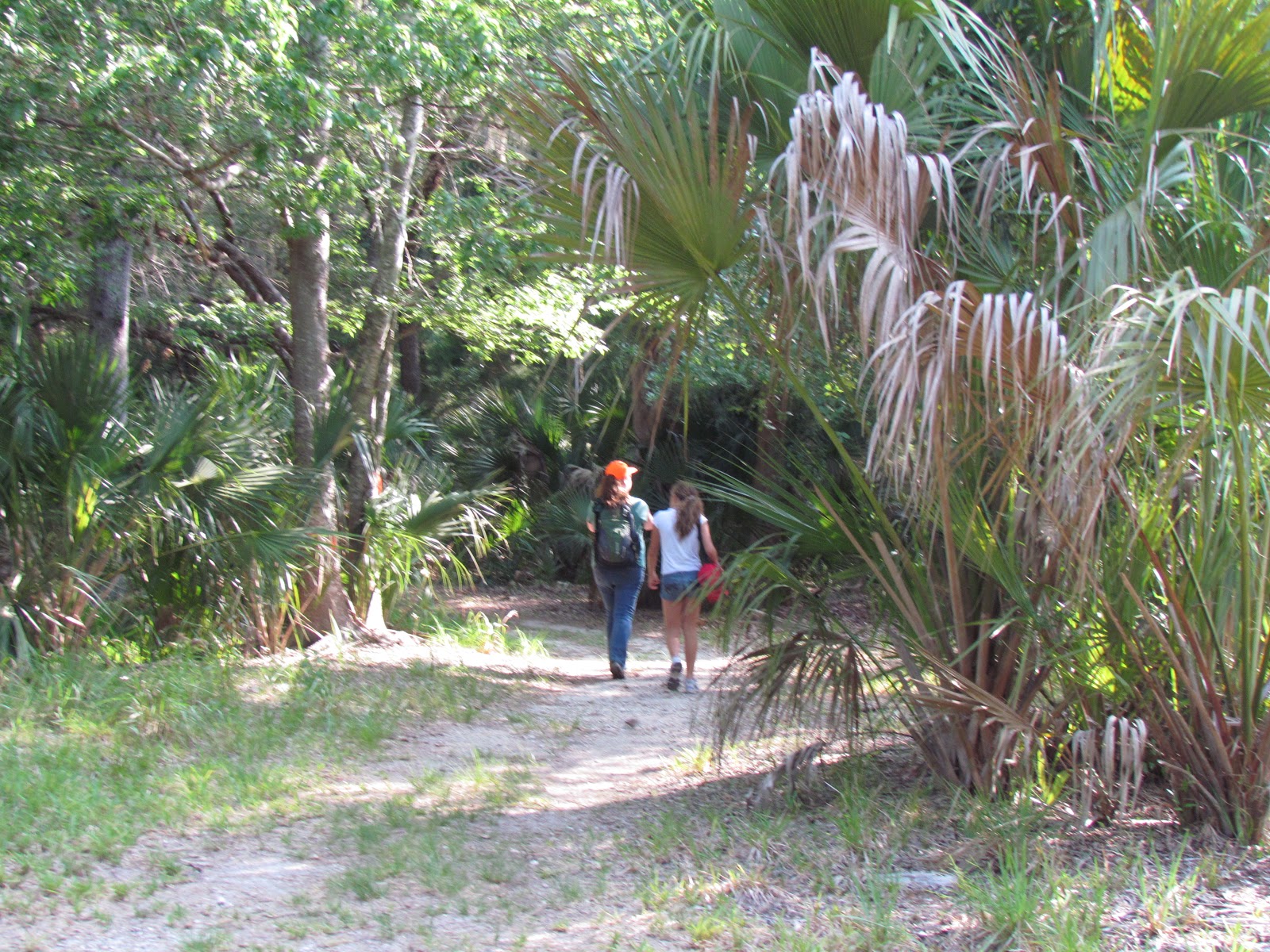 WildWildernessWalkers: Silver Glenn Springs