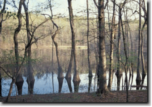 Scoppiarono incendi e ci fu una stima di 900 case andate in frantumi ...