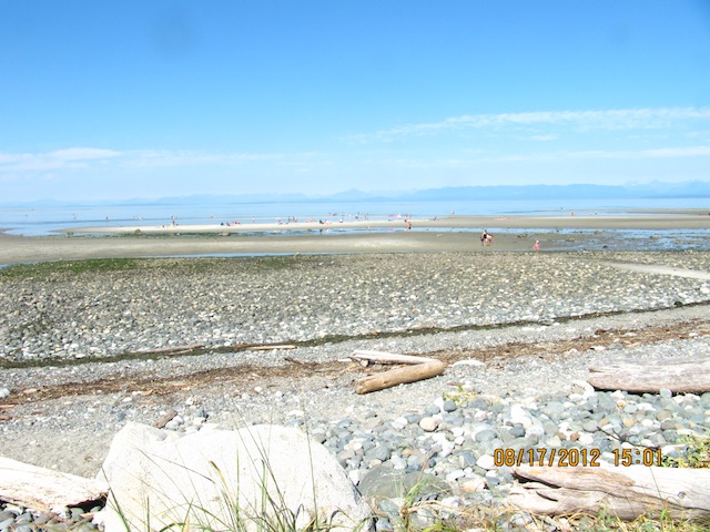 The Comox Valley - A Pictorial View: Town of Comox - Beaches