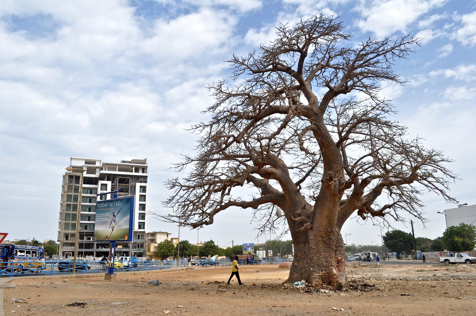 Ambassador Profiles: Senegal: Dakar